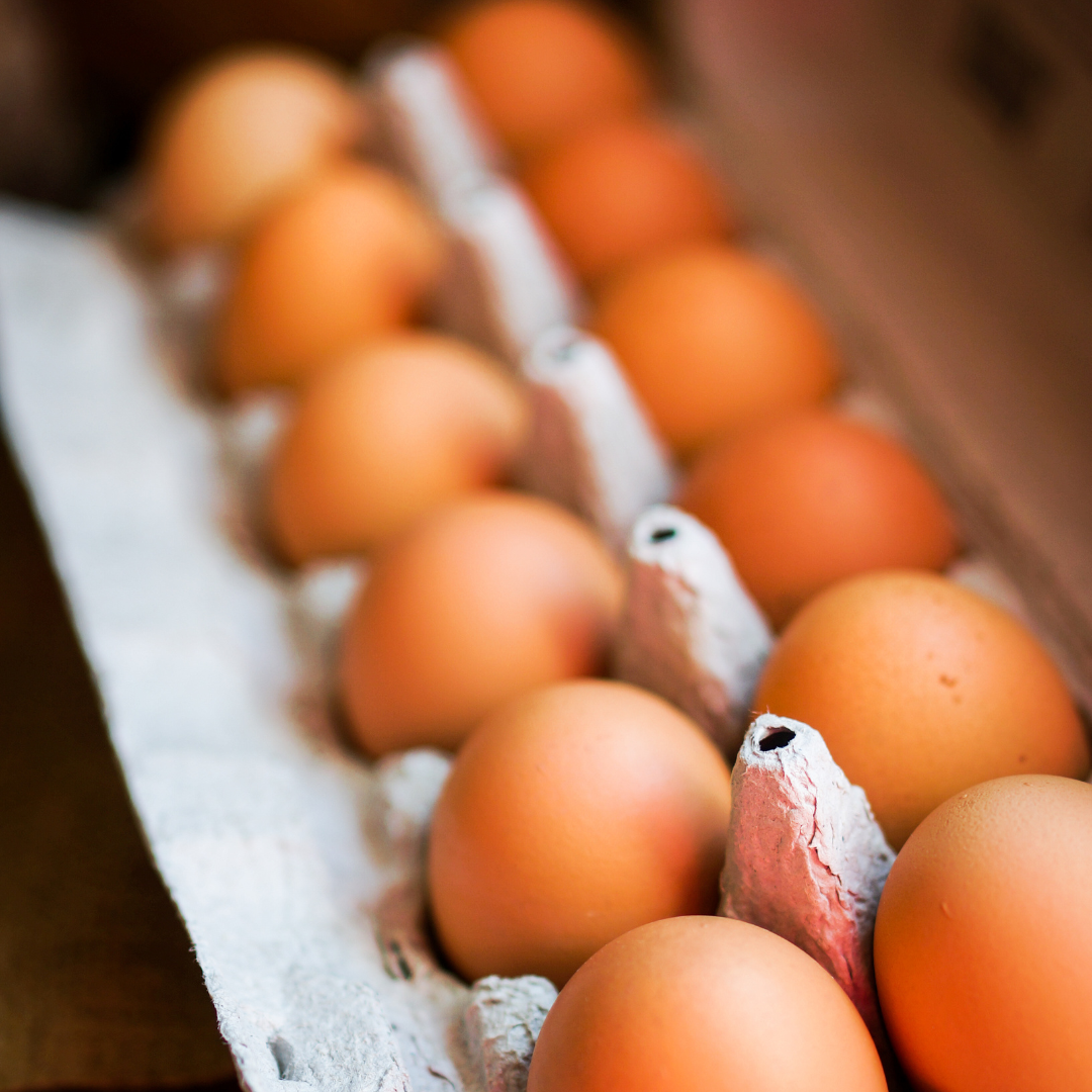Pasture Raised Eggs, Soy Free, Non GMO, Corn Free, Prairie Farmstead – ROCK Farmhouse