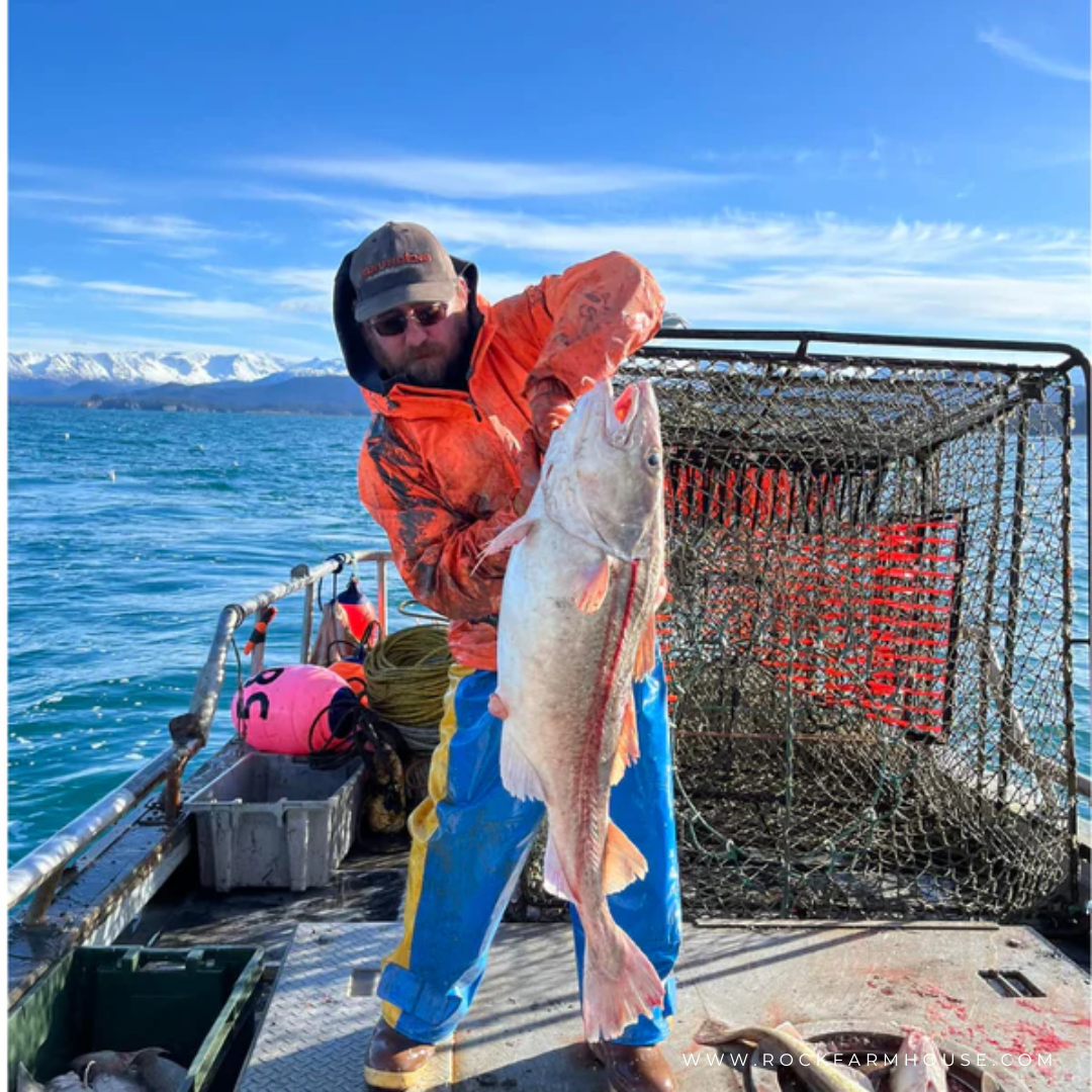 Wild Caught Alaskan Cod, Bristol Bay, Alaska – ROCK Farmhouse